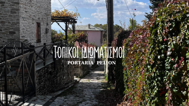 ΣΥΛΛΟΓΟΣ ΝΕΩΝ ΠΟΡΤΑΡΙΑΣ
